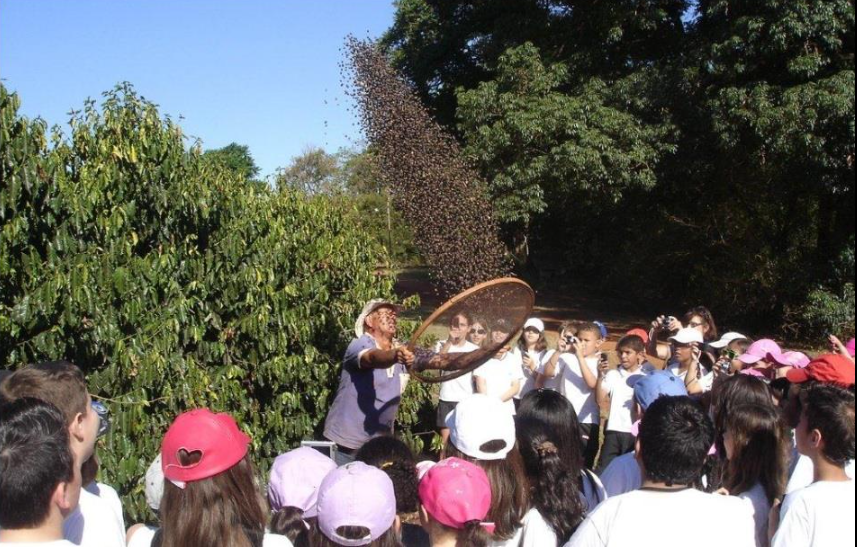 Símbolo de imigração japonesa, Fazenda Tozan celebra seus 95 anos ...